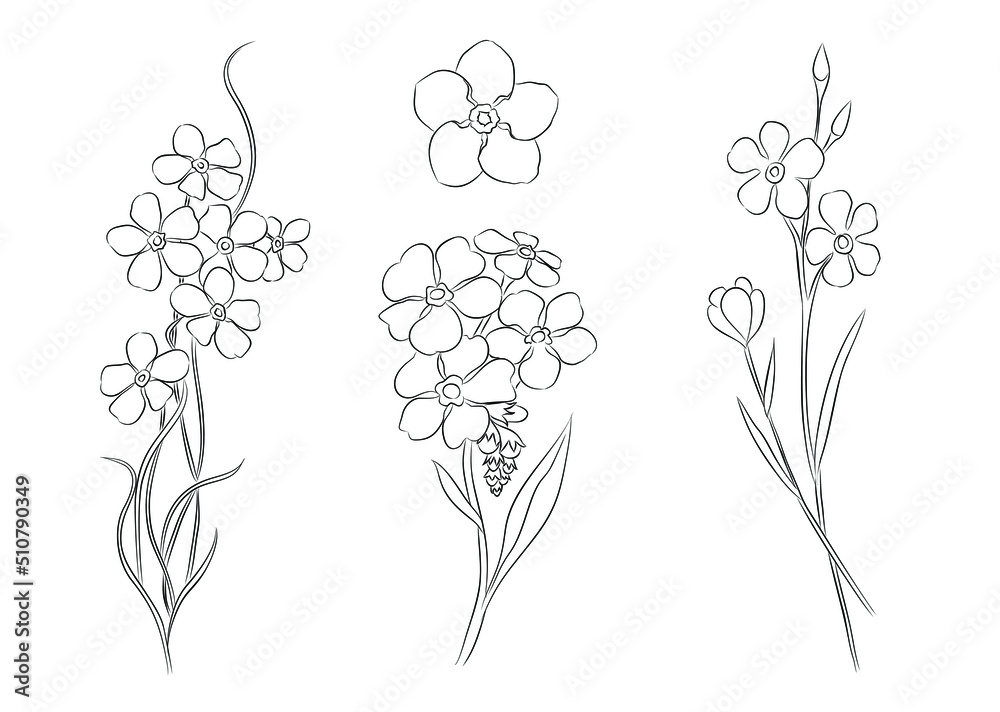 Forget Me Not Flower Clip Art Black And White