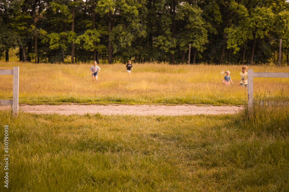 Happy child. Running in the summer countryside field near the farm ...