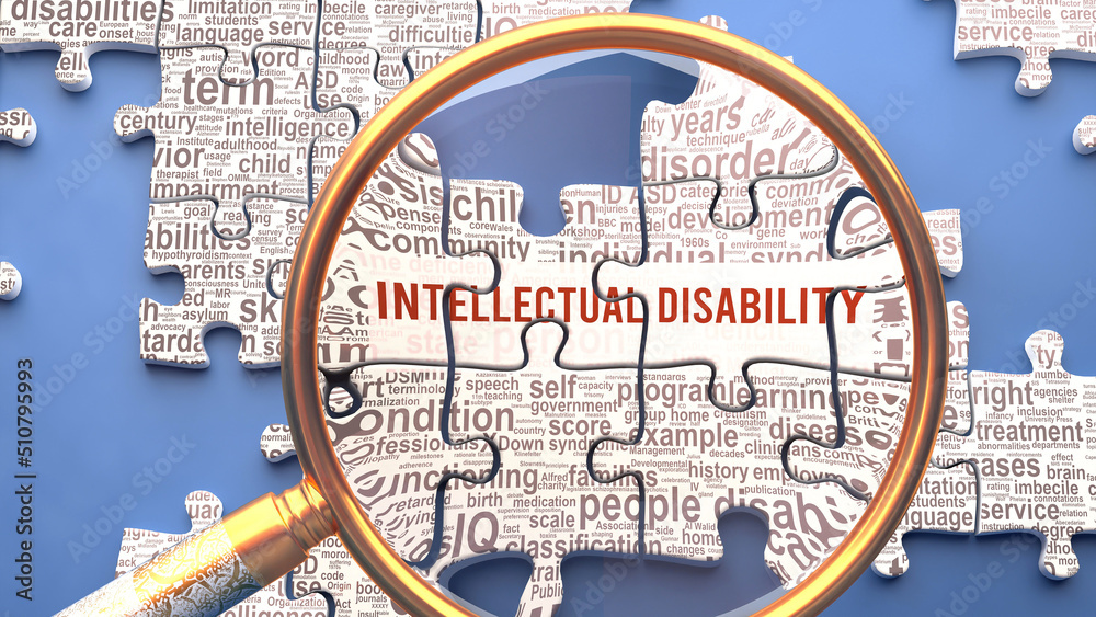 Intellectual disability as a complex topic under close inspection ...