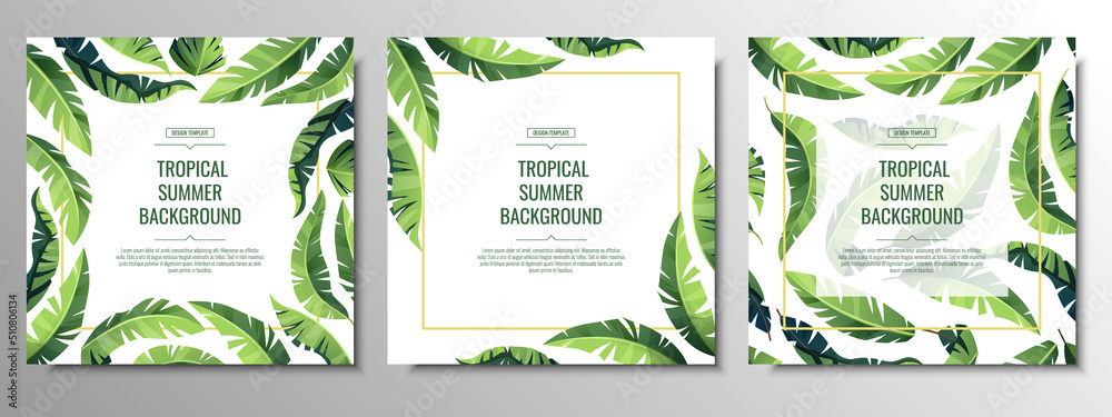Set of tropical cards, banners, backgrounds, flyers with green palm ...