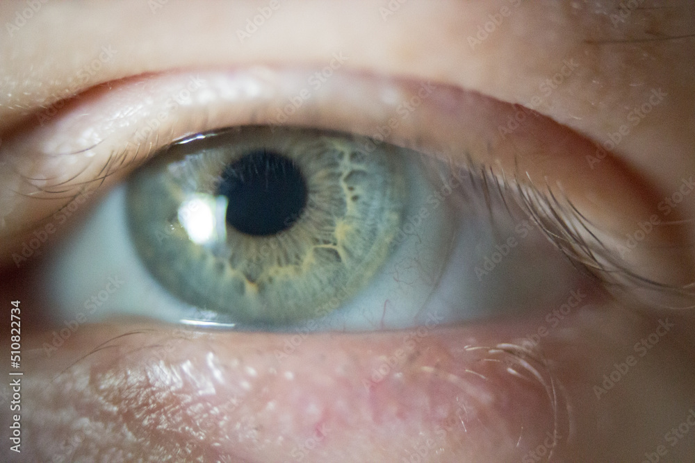 eyes, eye, iris, macro, pupil, eyeball, blue, closeup, vision, beauty ...