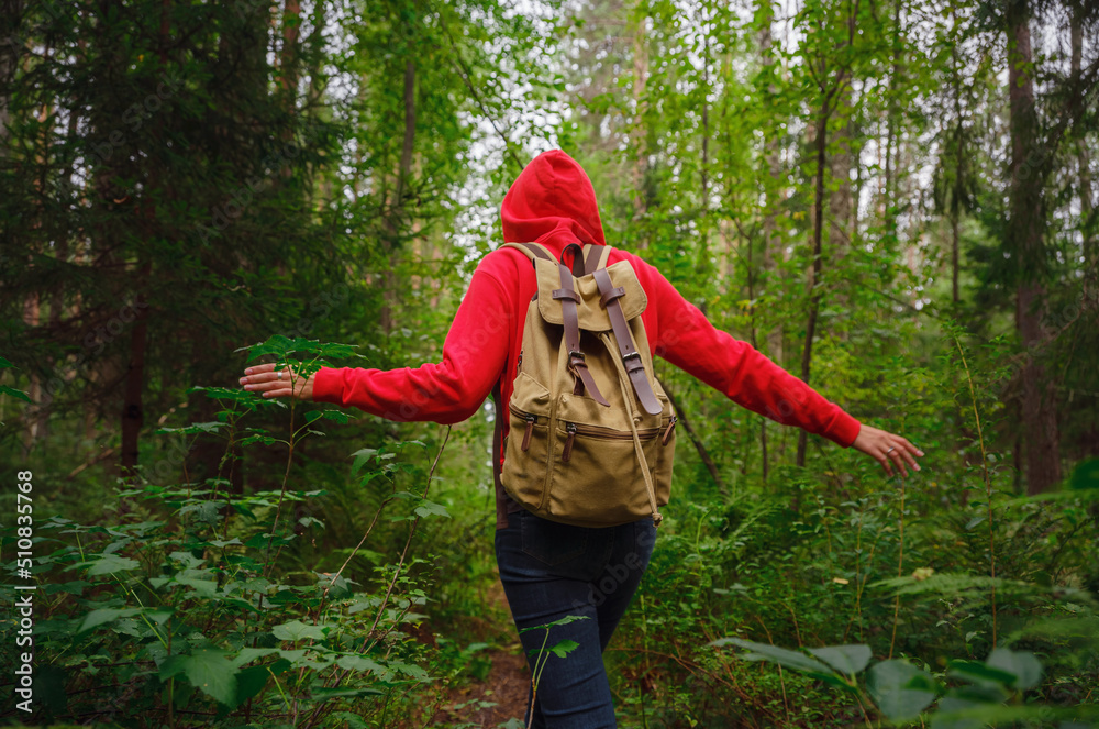 journey in summer Russia, Komarovo village, ecological trail Komarovsky ...