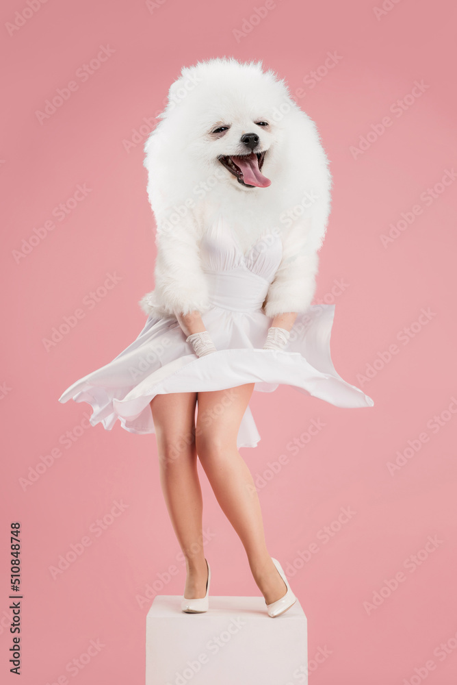 Elegant beautiful female model wearing retro style outfit headed by ...