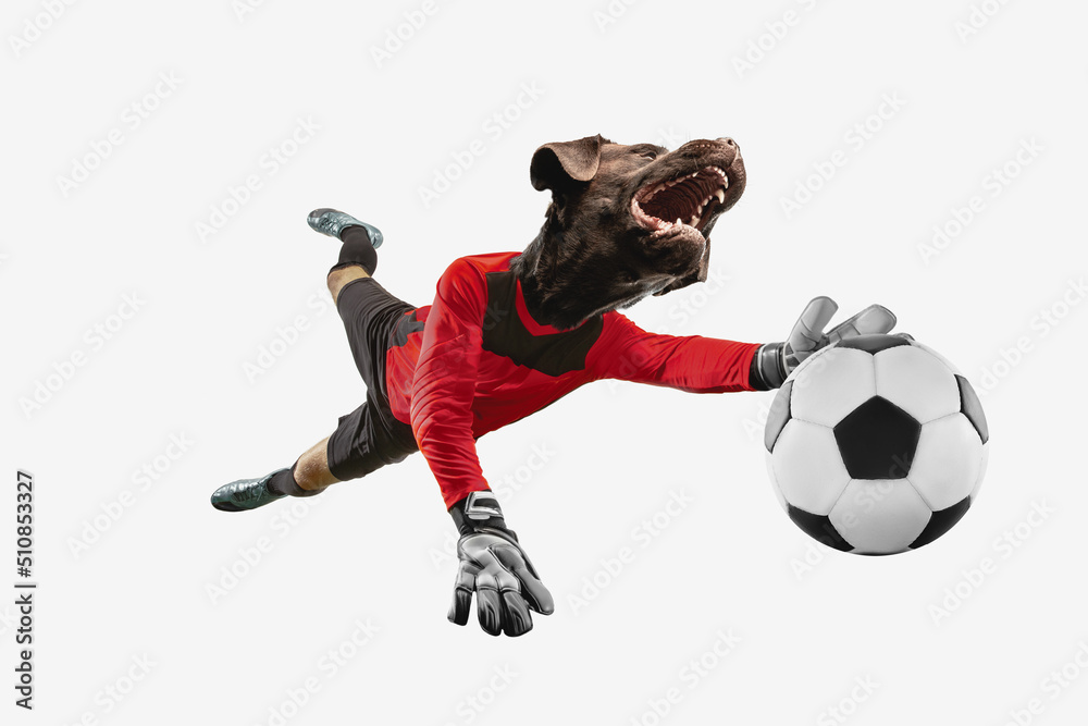 Creative collage with professional football player, goalkeeper headed ...