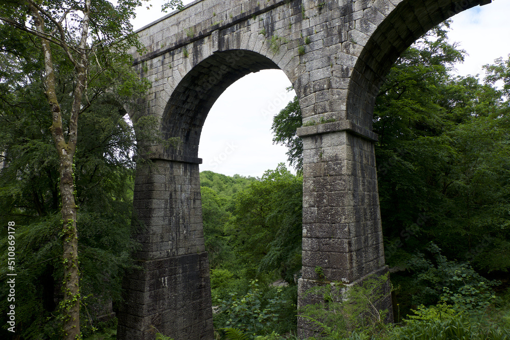 Treffry Viaduct 19th century industrial remains and World Heritage Site ...