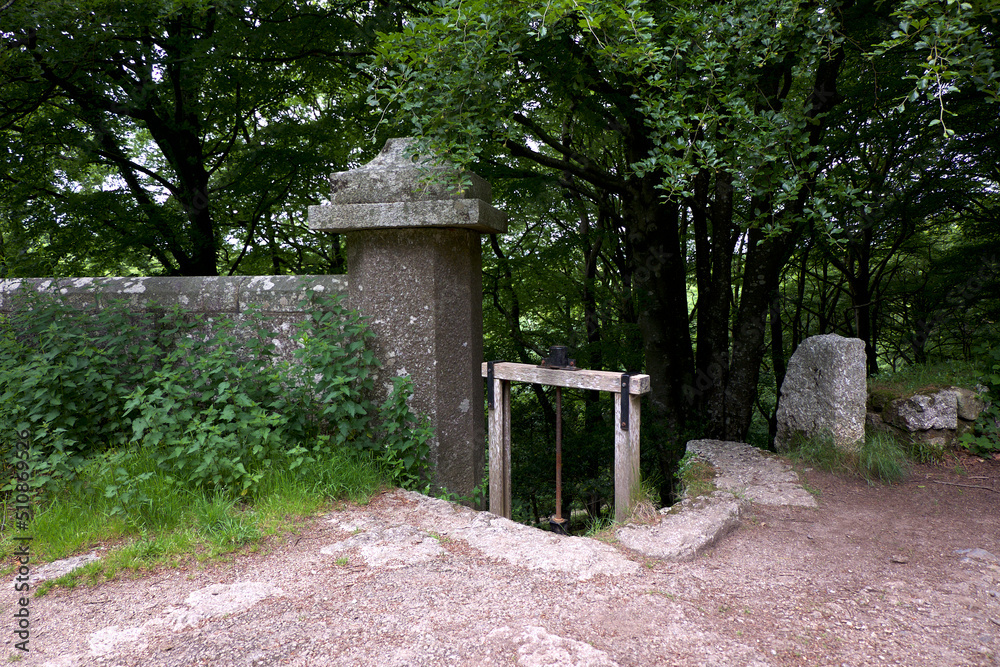 Treffry Viaduct 19th century industrial remains and World Heritage Site ...