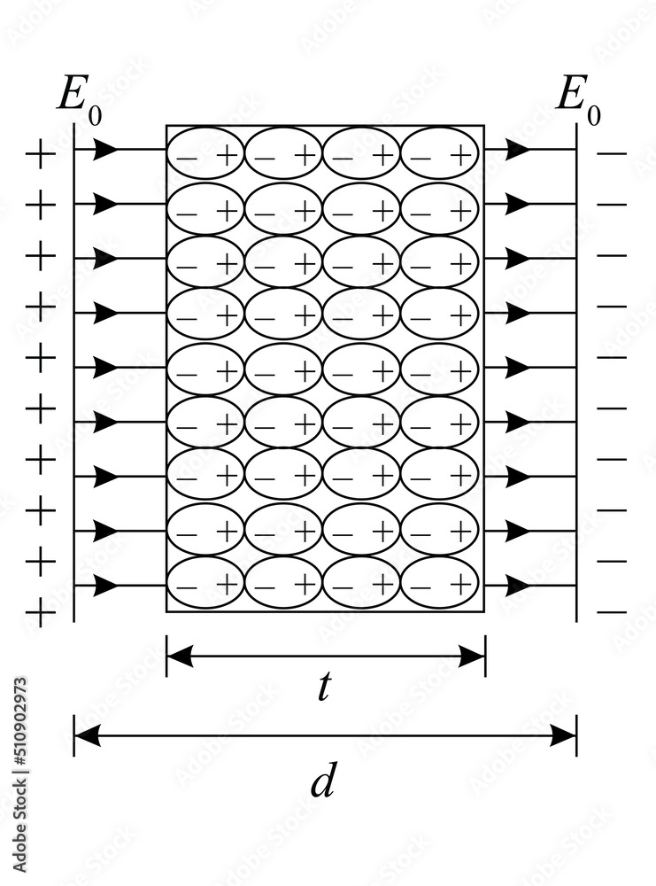 Behavior Of A Dielectric Placed In Electric Field, When a dielectric s ...