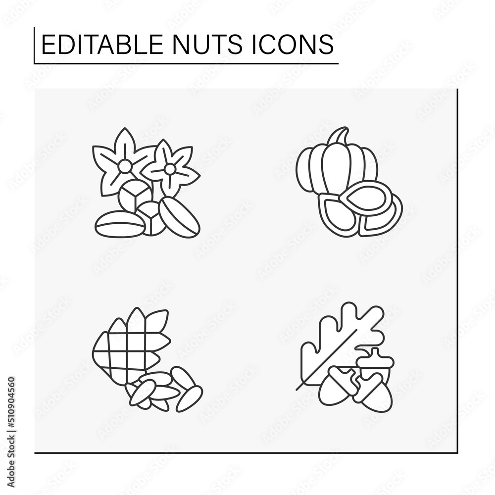 Nuts line icons set. Kola and pine nuts, pumpkin seeds.Ingredients for ...