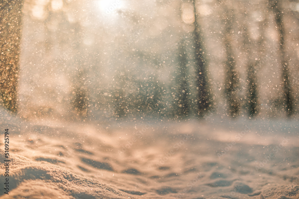 Winter nature closeup, soft sunlight blurred forest trees. Idyllic ...