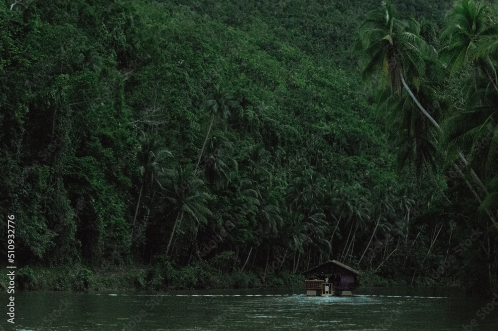 traditional raft boat on a jungle green river Loboc at Bohol island of ...