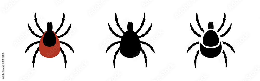 Ticks set. Deer tick. Vector clipart isolated on white background ...
