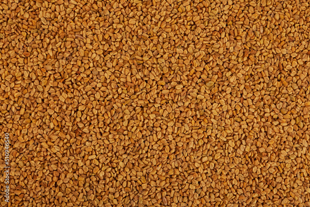 Texture of yellow fenugreek seeds or shambhala, helba seeds as food ...