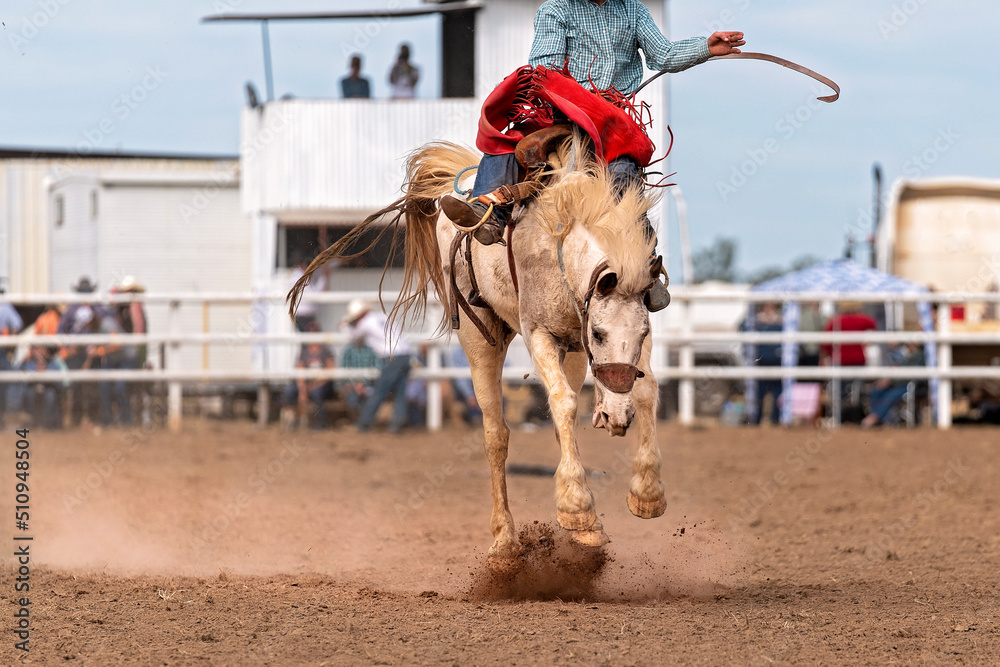 Cowboy On Bucking Bronc Stock Photo | Adobe Stock