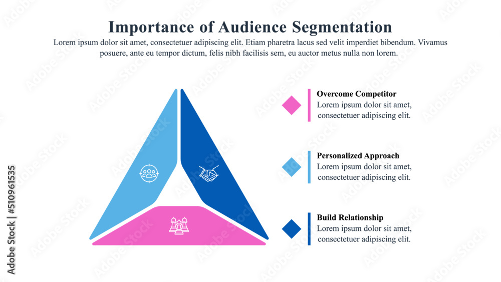 Infographic template of audience segmentation. Stock Vector | Adobe Stock