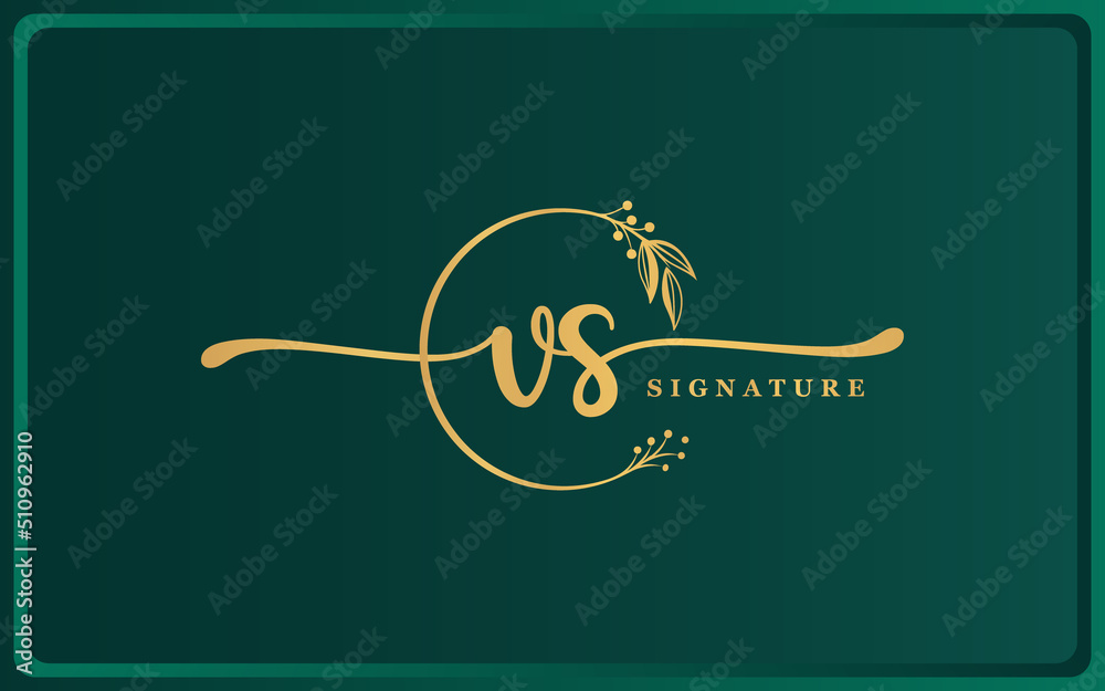 luxury signature initial VS logo design. Handwriting vector logo design ...