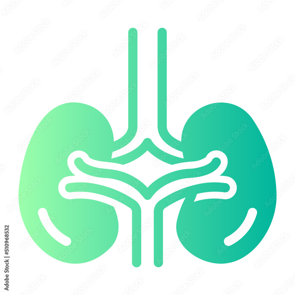 kidney gradient icon Stock Vector | Adobe Stock