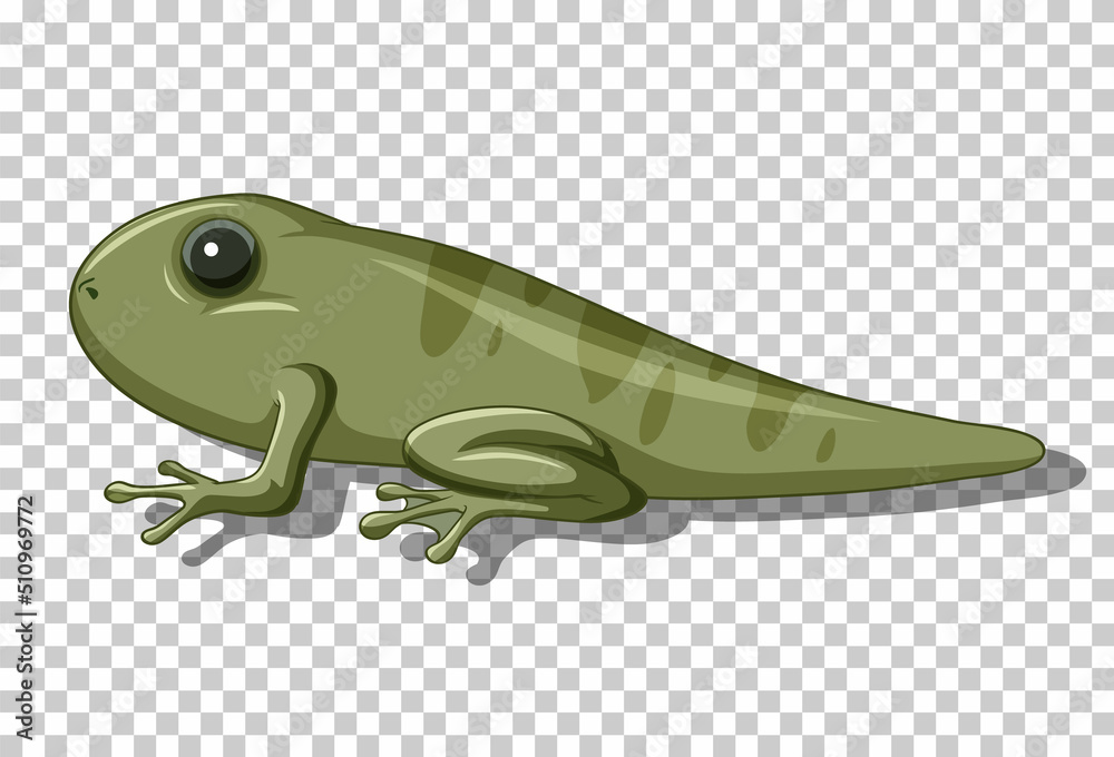 A tadpole in flat cartoon style Stock Vector | Adobe Stock
