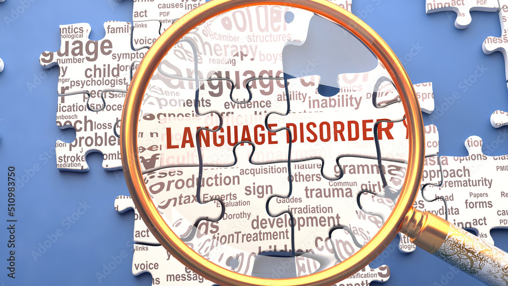 Language disorder as a complex topic under close inspection. Complexity ...