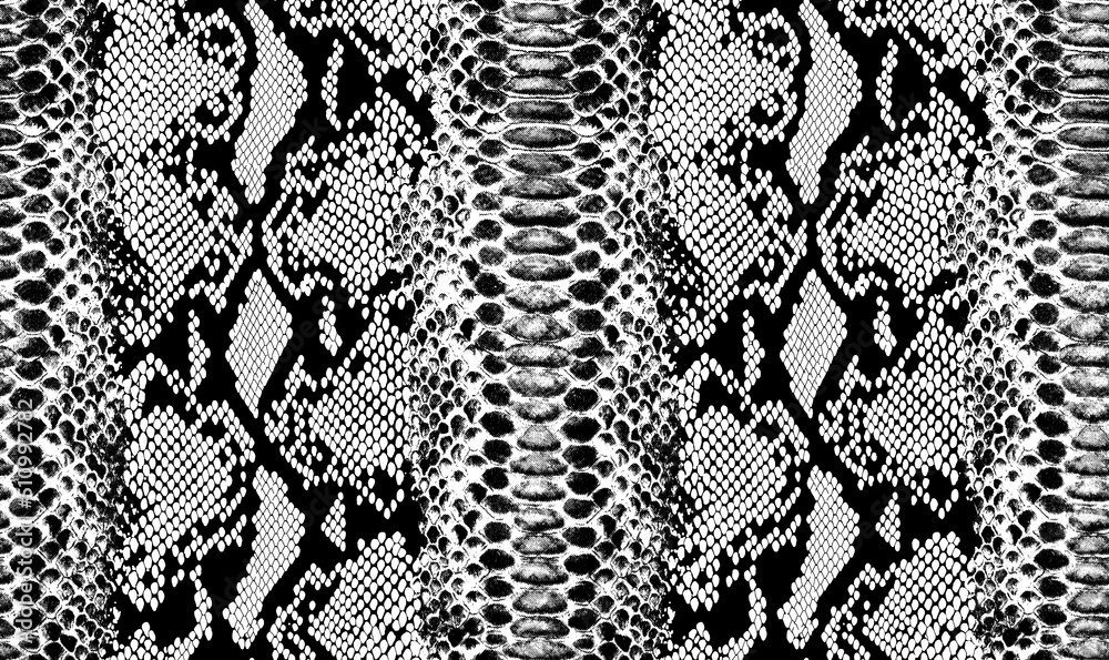 Snake Prints Patterns Snake Print And Photo Art Print Snake Skin
