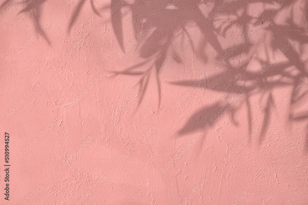 Shadow of willow leaves on pink concrete wall texture with roughness ...