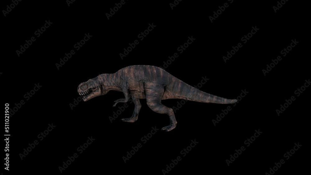 Tyrannosaurus Trex Run animation.Full HD 1920×1080.6 Second Long ...