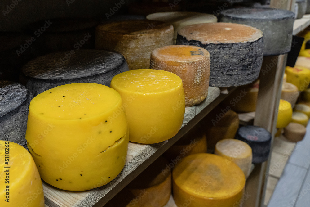 Farm cheese production. Cheese of different varieties on the shelves in ...