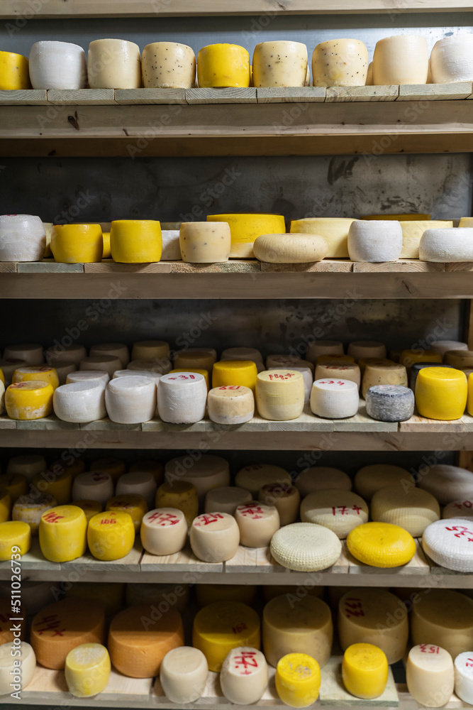 Farm cheese production. Cheese of different varieties on the shelves in ...