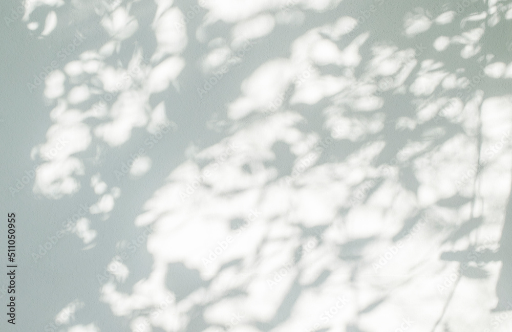 Tree shadow and leaf branch background. Nature leaves tree branch dark ...