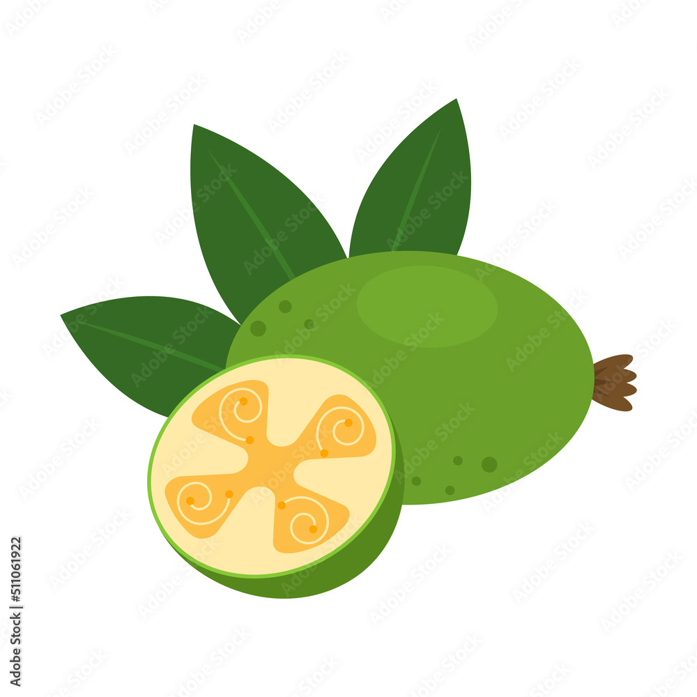 Feijoa whole fruit and halved isolated on white background. Green ...