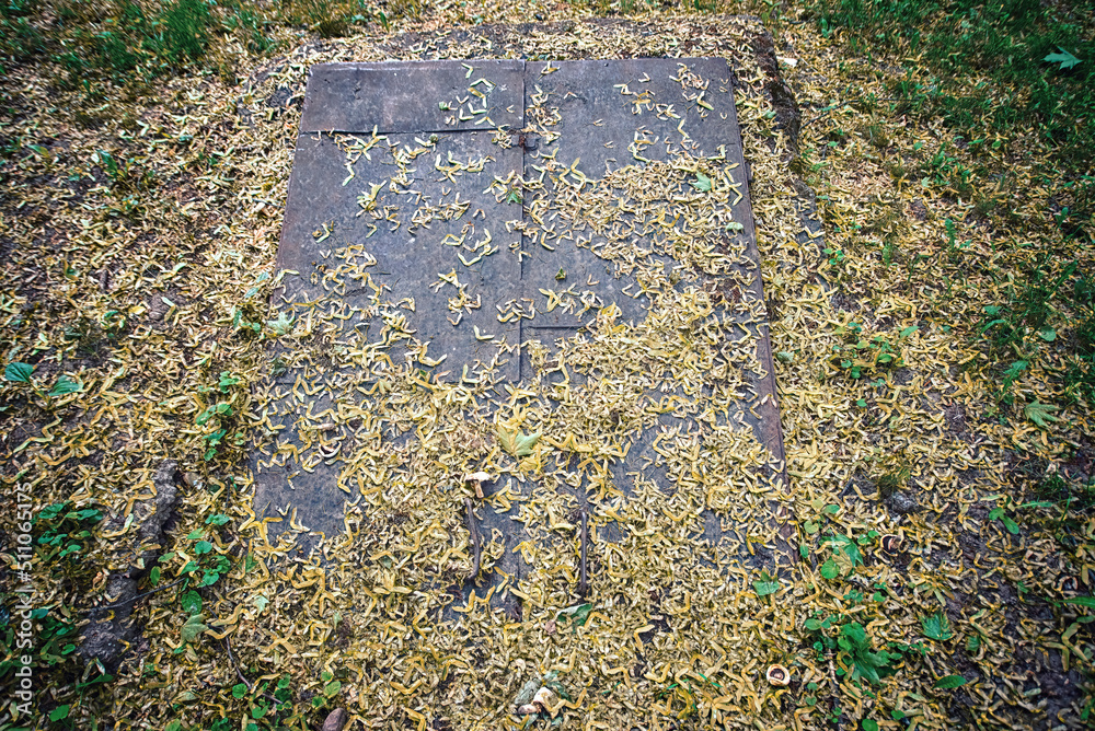 Closed steel door of the underground bomb shelter, entrance camouflaged ...
