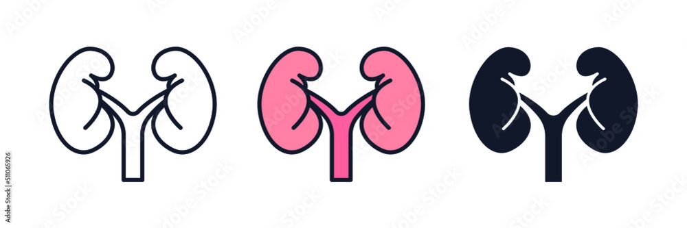 kidney icon symbol template for graphic and web design collection logo ...
