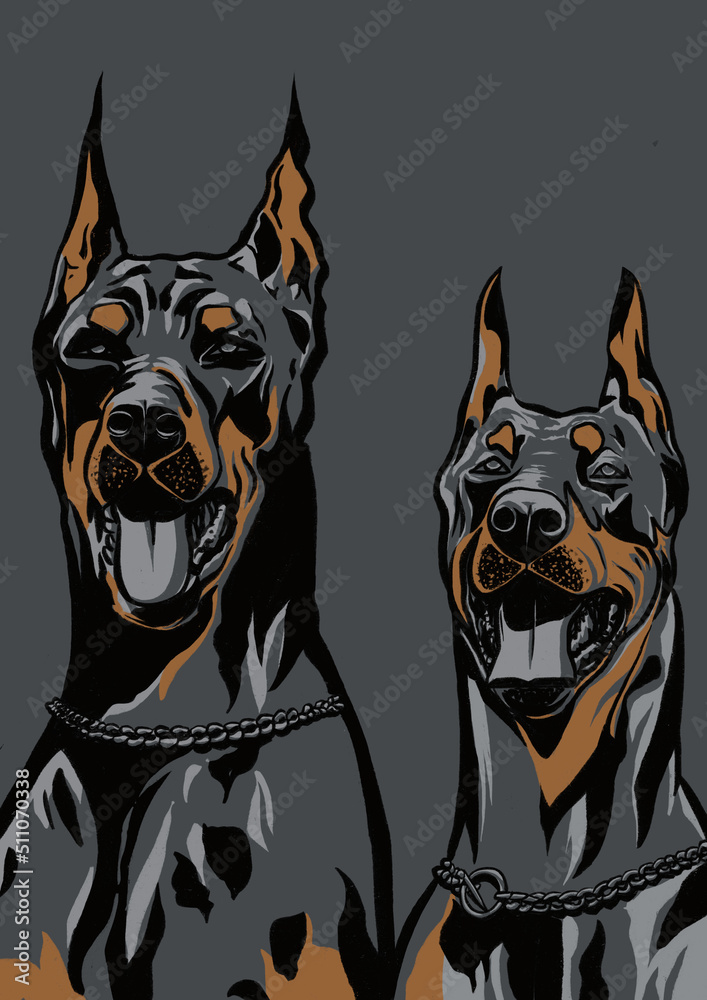 Grey Doberman Pinscher