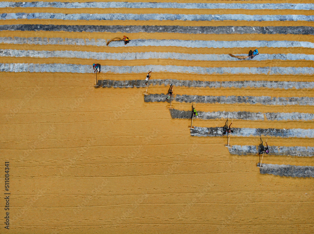 Workers working in small rice mill. Rice, paddy grain drying in sun ...