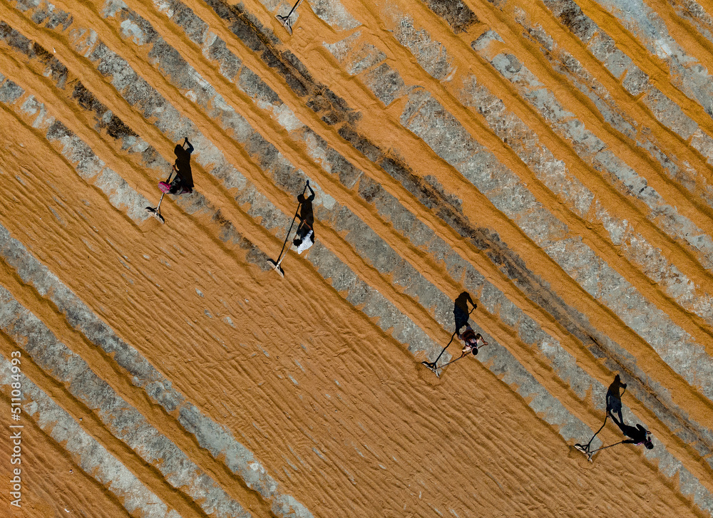 Workers working in small rice mill. Rice, paddy grain drying in sun ...