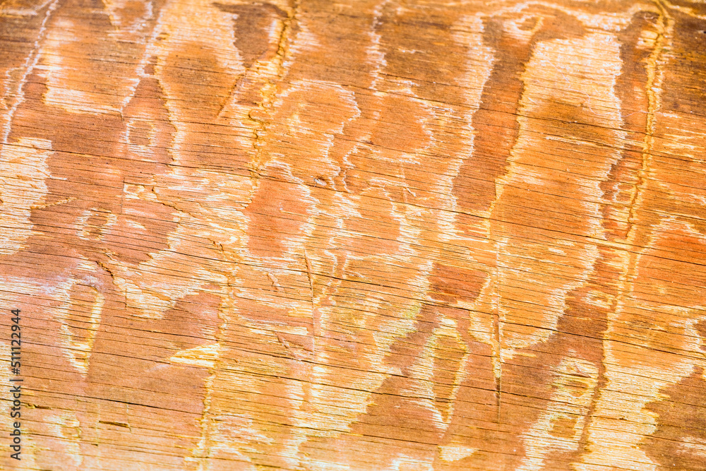 surface texture of wooden hewn logs. trunk tree without bark. Stock ...