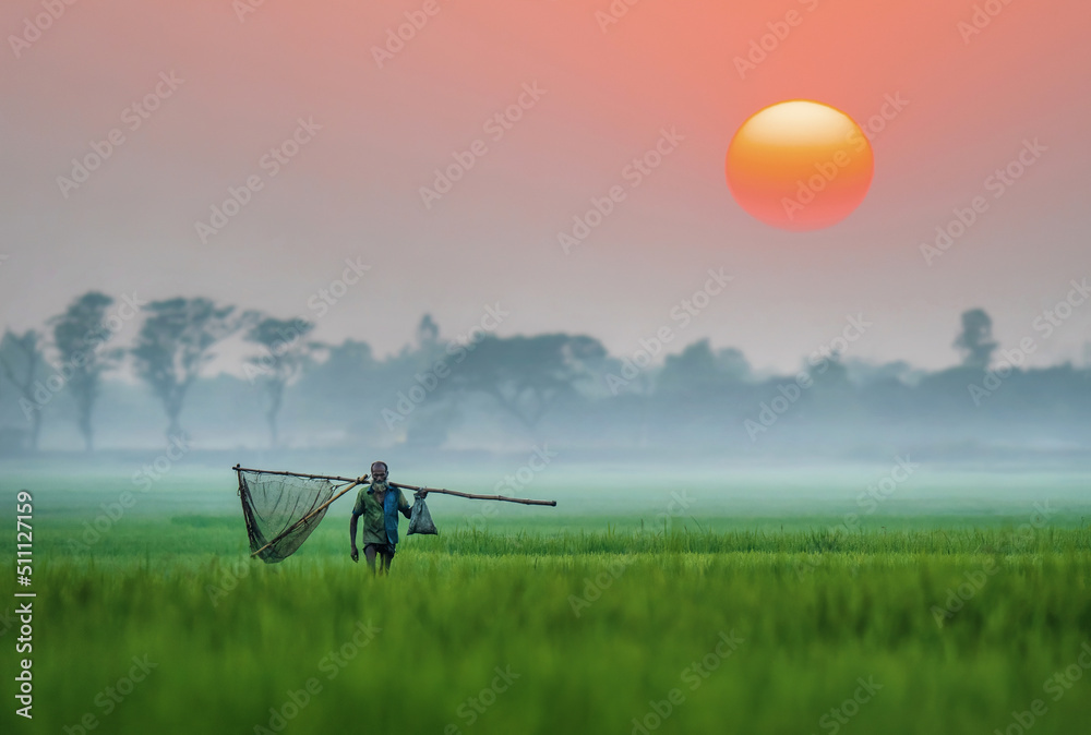 Foggy magical winter morning scenic view. Real beauty of rural ...