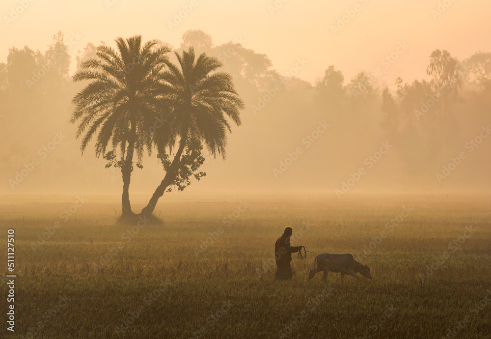 Foggy magical winter morning scenic view. Real beauty of rural ...