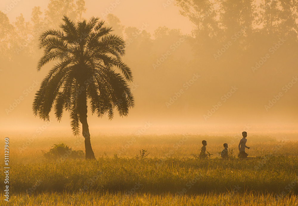 Foggy magical winter morning scenic view. Real beauty of rural ...