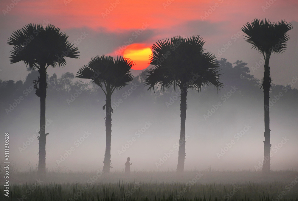 Foggy magical winter morning scenic view. Real beauty of rural ...