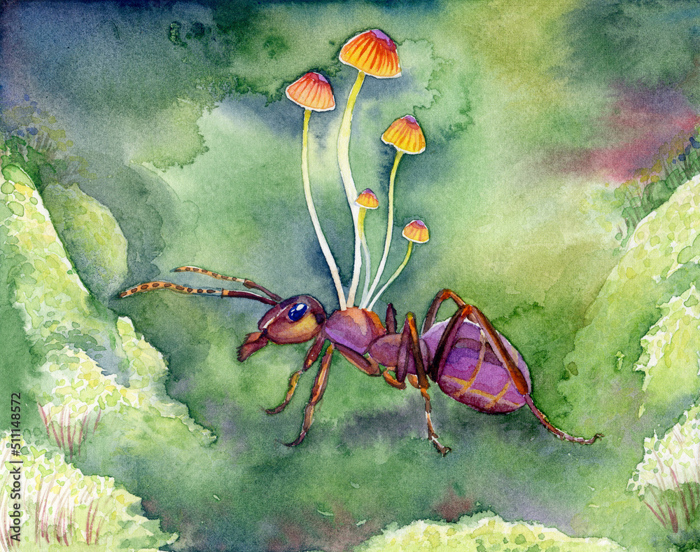 Zombie ant obey to parasitic fungi. Fungus take control of living ...