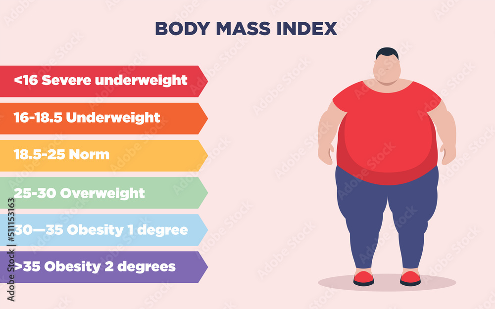Photography Poster Body Mass Index Scale | Wall Art | UKposters
