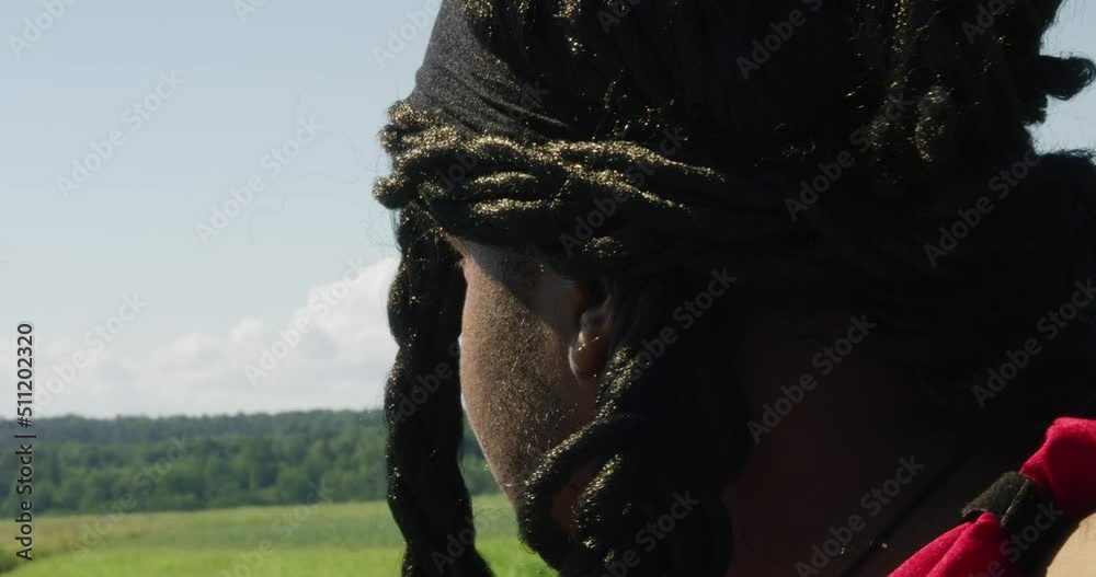 Samson with arms raised while looking at surrounding green landscape ...