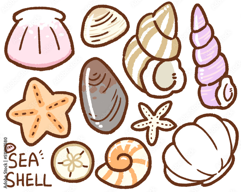seashells cartoon drawing set Stock Vector | Adobe Stock