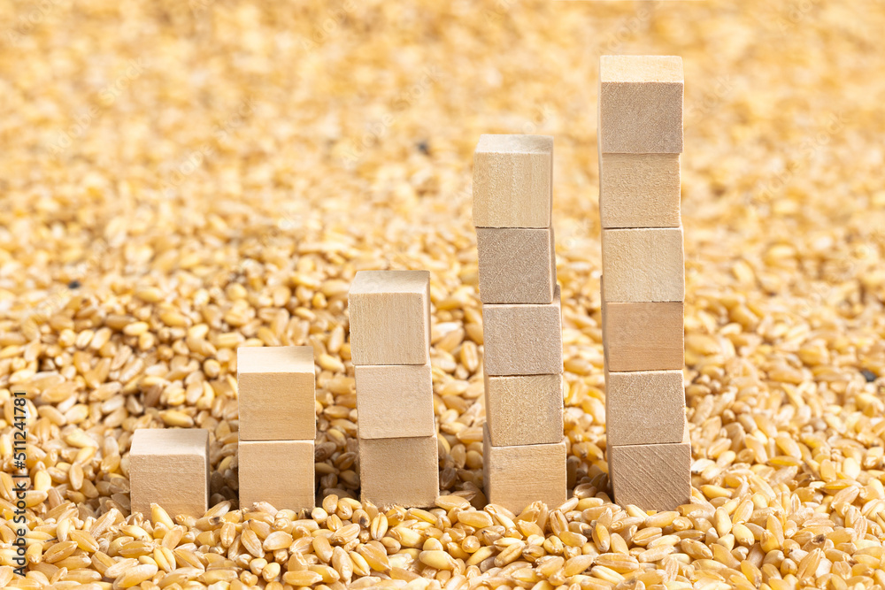 World hunger, high prices for wheat and grain concept. Wooden blocks on ...