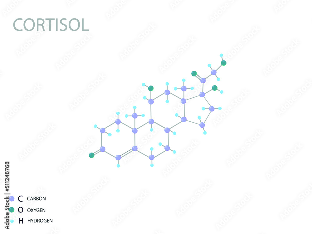 Cortisol molecular skeletal 3D chemical formula. Stock Vector | Adobe Stock