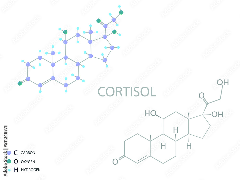 Cortisol molecular skeletal 3D chemical formula. Stock Vector | Adobe Stock