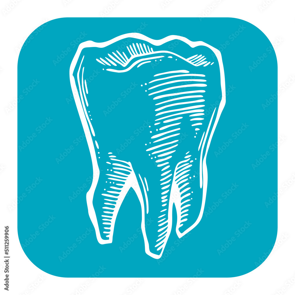 Root tooth. Beautiful healthy tooth is symbol for health dental care ...