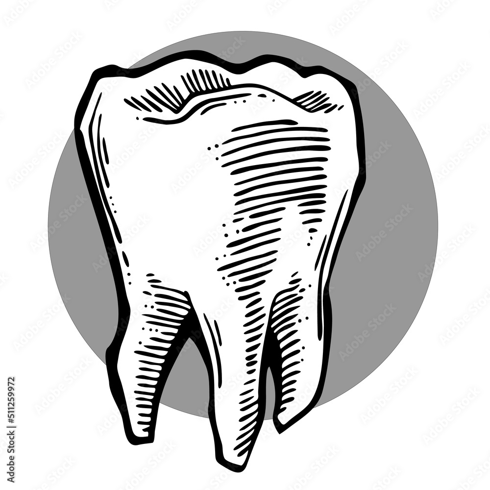 Root tooth. Beautiful healthy tooth is symbol for health dental care ...