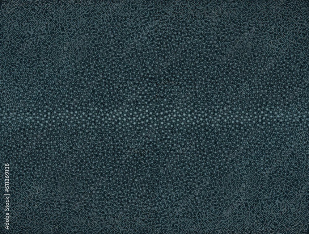 Seamless denim shagreen stingray fish skin texture high resolution ...