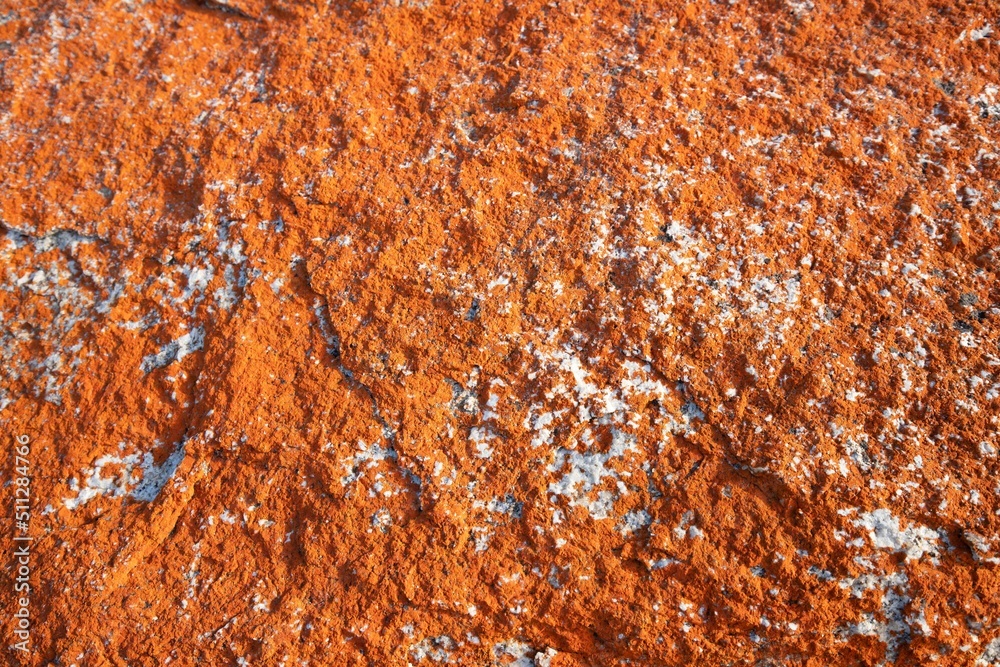 close picture of the red rock from the bay of fires in Tasmania. This ...